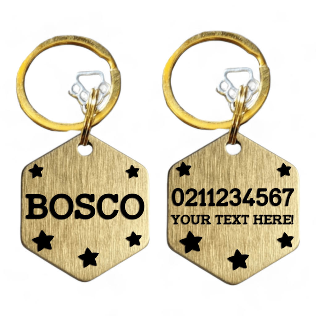 Custom Text Bespoke Brass Hexagon Cat & Dog ID Pet Tag