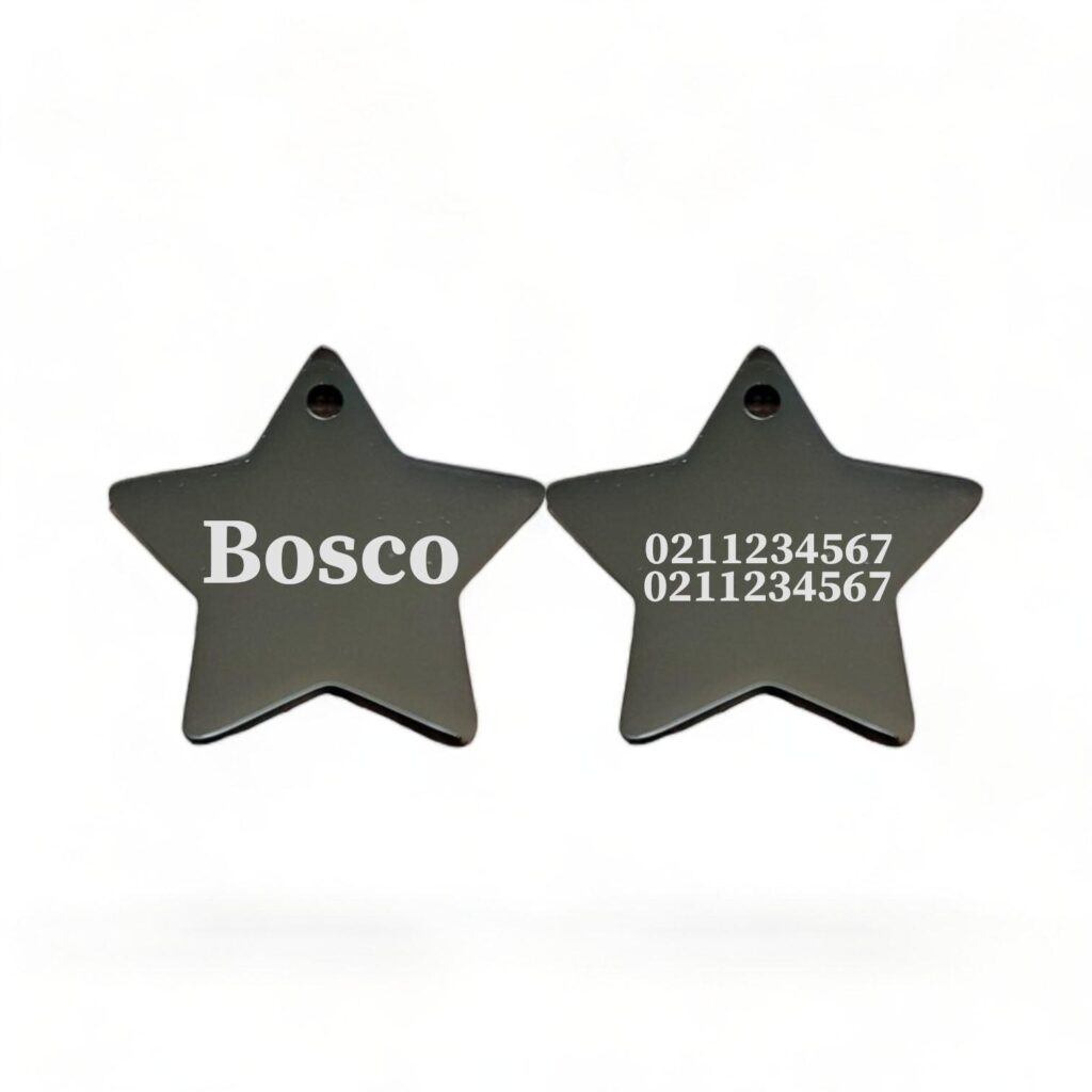 Name Front & 2 Numbers Back | Mirror Stainless | Star Dog & Cat ID Pet Tag