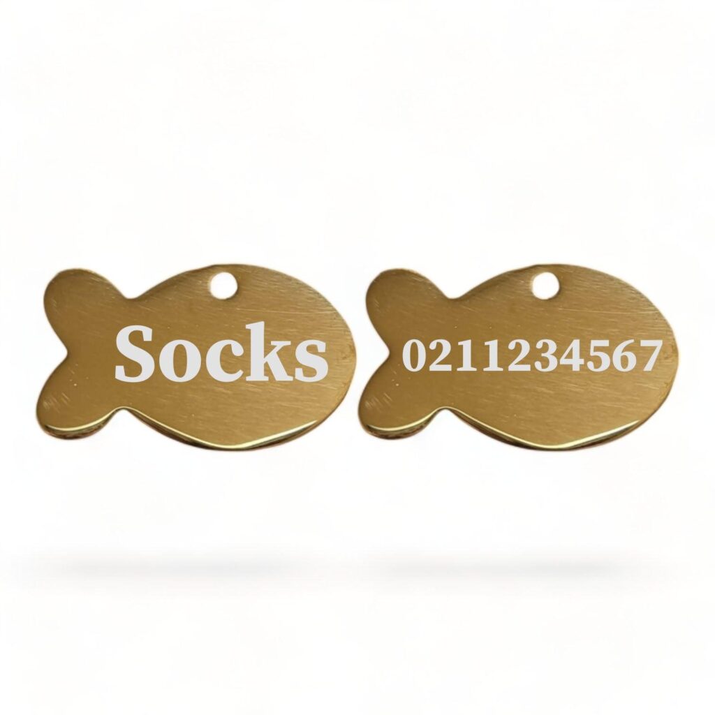 Name Front & Number Back Baby Fish | Mirror Stainless | Cat ID Pet Tag